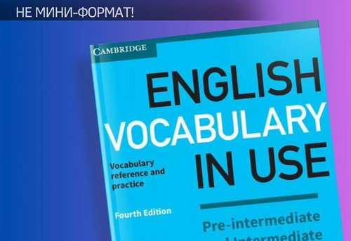 English vocabulary in use pre intermediate (новая)