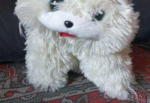 Кот-подушка