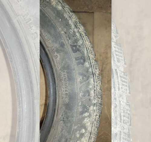 Brasa IceControl 195/65 R15