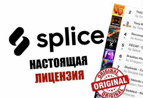 Splice офиц. подписка. Sound + семплы / сэмплы