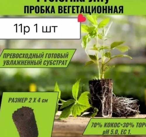 Вегетационные пробки