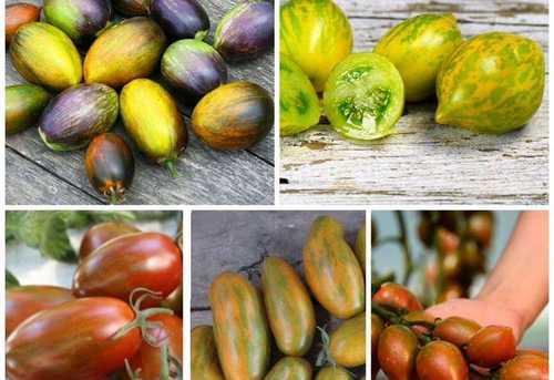 Семена томатов экзотика