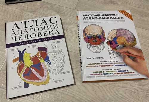 Анатомия атлас раскраска 2 книги