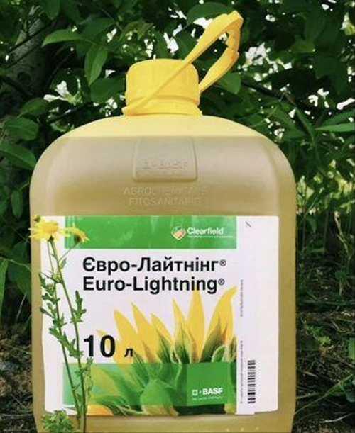 Евролайтинг