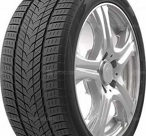 Zmax Winterhawke II 275/50 R21 113H