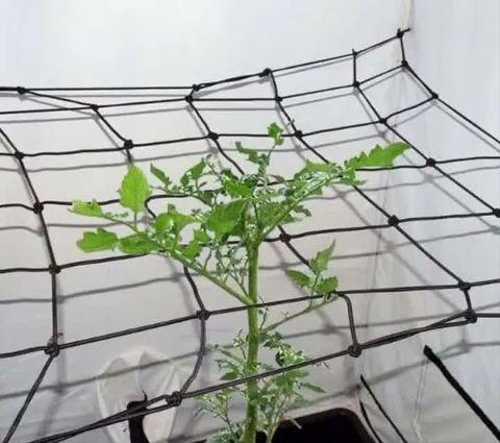 Сетка scrog (40*40см )