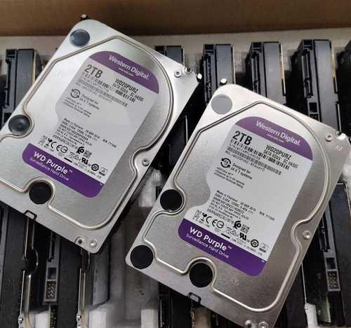 Wd purple 1тб, 2тб (wd20purz). Оригинал