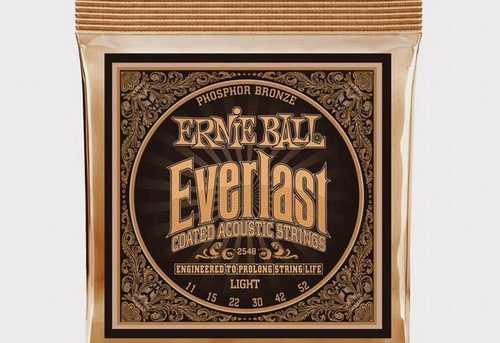 Ernie Ball Everlast струны для акустической гитары