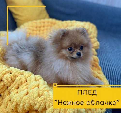Плед вязаный для животных
