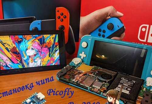 Picofly Nintendo Switch