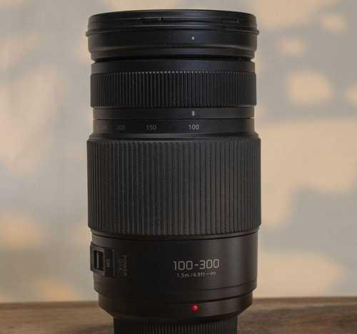 Panasonic Lumix 100-300mm