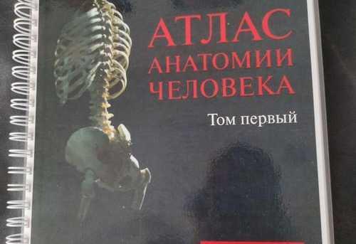 Атлас анатомии человека Синельникова