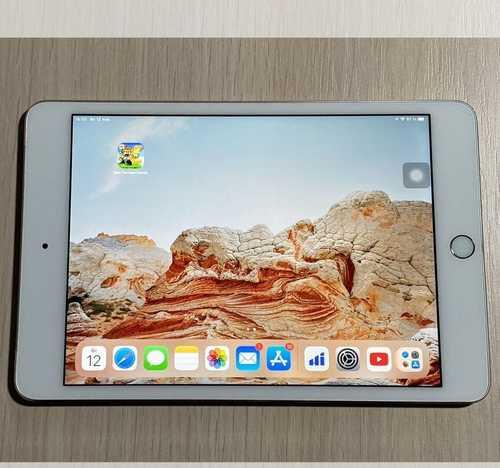 iPad mini 4 64gb