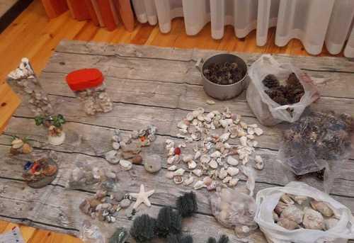 Ракушки морские, камушки, шишки, сувениры, ветки