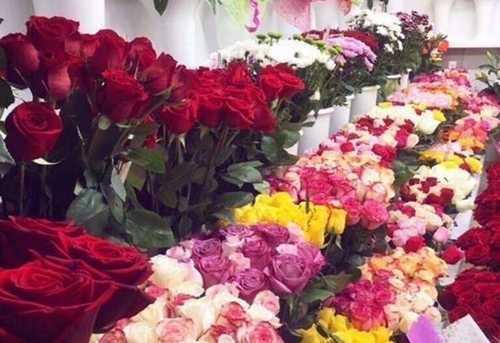 Букет из 51 розы, Розы опт, Тюльпаны,Фейверки опт