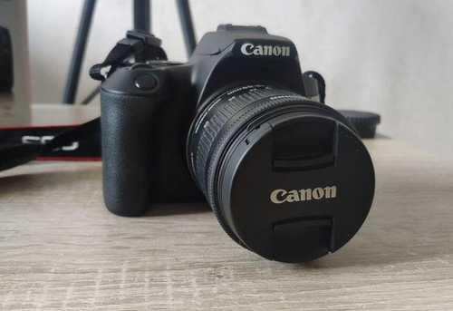 Canon eos 250d kit + штатив + 16гб