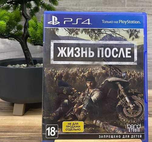 Жизнь после ps4