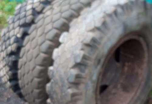 Accelera Beta 260/9 R20 20