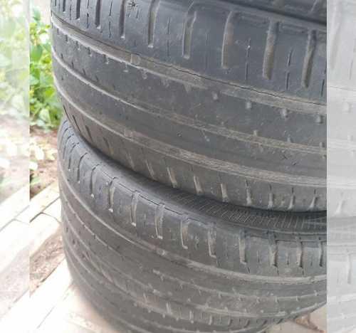 Matador MP 44 Elite 3 195/55 R16