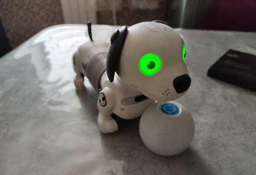 Собака с мячом интерактивная игрушка