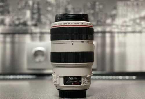 Canon EF 70-300mm f/4-5.6L IS USM