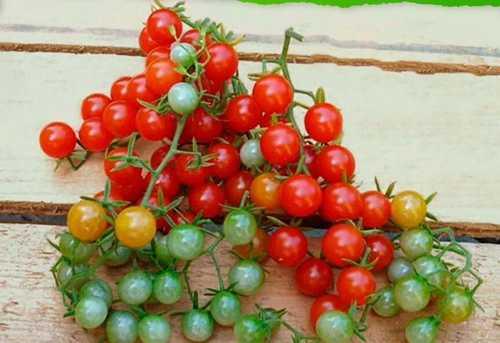 Семена томатов Свит-пиа