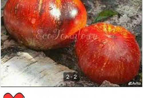 Рассада редких томатов