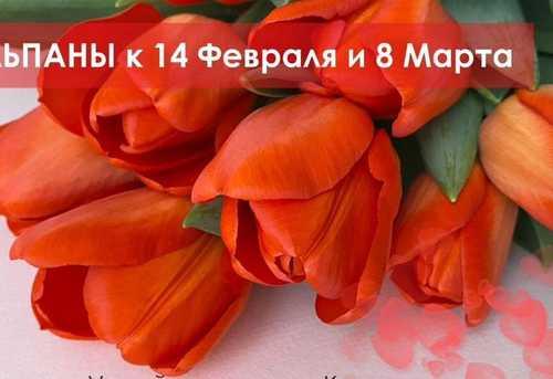Тюльпаны к 8 марта 2024 г оптом/розница