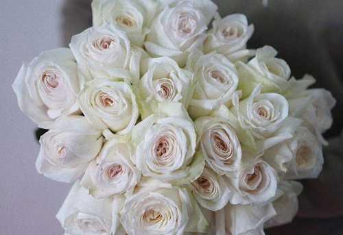 Белые розы оптом