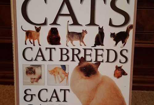 Разведение кошек Английская книга