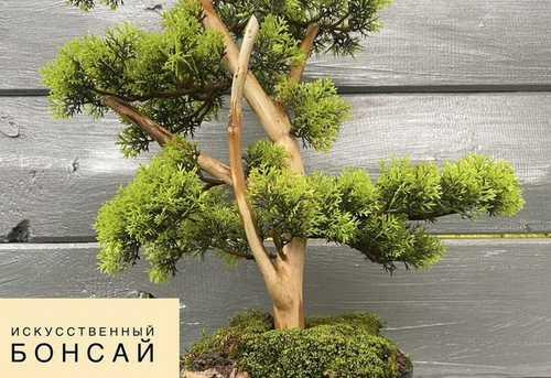 Декоративное дерево Бонсай мини