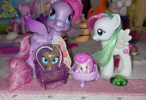 My little pony редкие