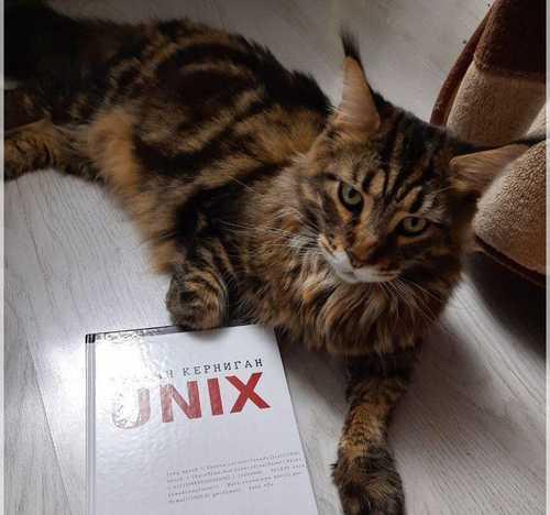 Время unix Брайан Керниган