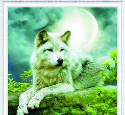Алмазная мозаика 30x30 Белый волк на фоне