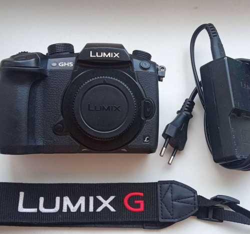 Panasonic lumix gh5