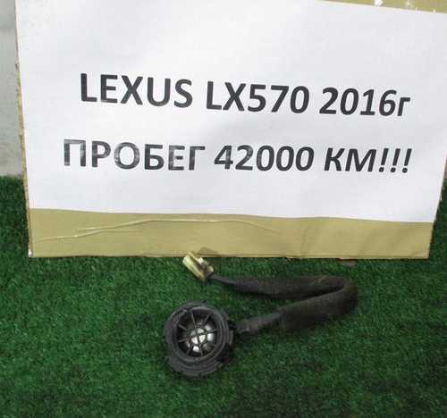 Динамик lexus LX570 URJ201L 3urfe