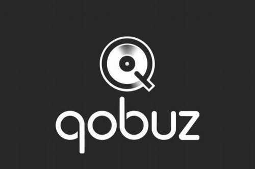 Qobuz Premier Hi-Res 3мес и продление