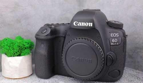 Canon EOS 6D Mark II Body №895