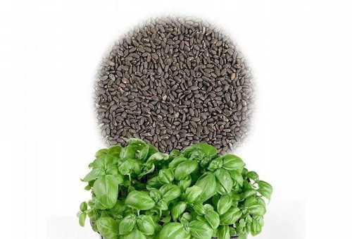 Семена Микрозелень от 50 грамм арт.0029