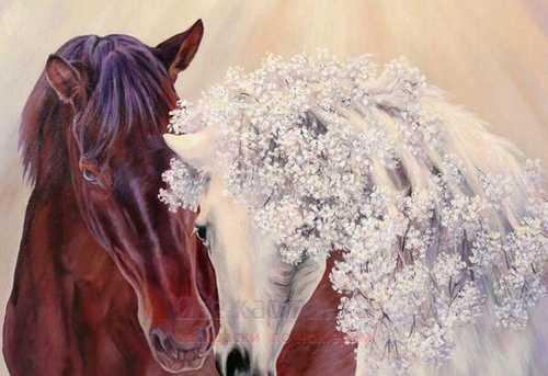 Картина по номерам 40x50 Конь и его белая лошадь