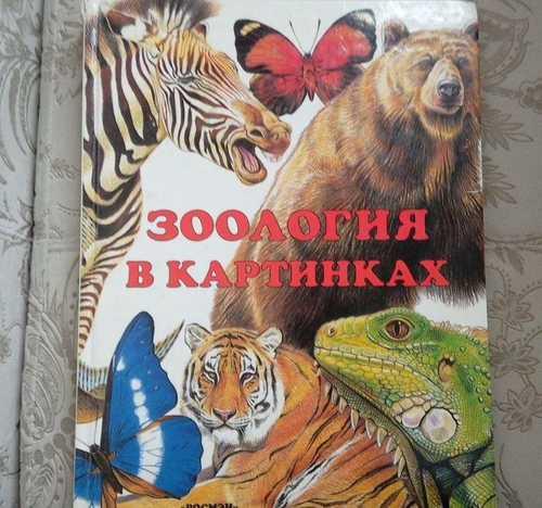 Книга "Зоология в картинках"