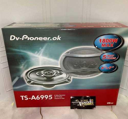 Динамики Pioneer TS-A6995 1800W 15x23 см