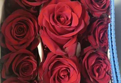 Букет Роз, свежие Розы к 8 марта