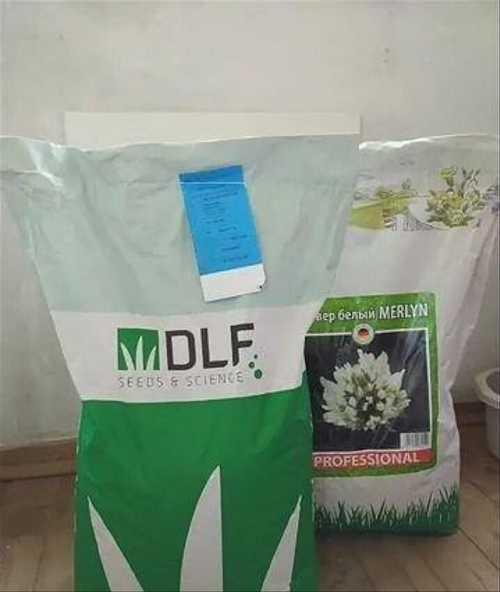 Семена DLF Trifolium