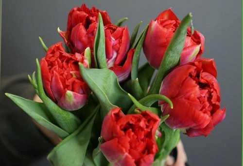Потрясающие тюльпаны к празднику