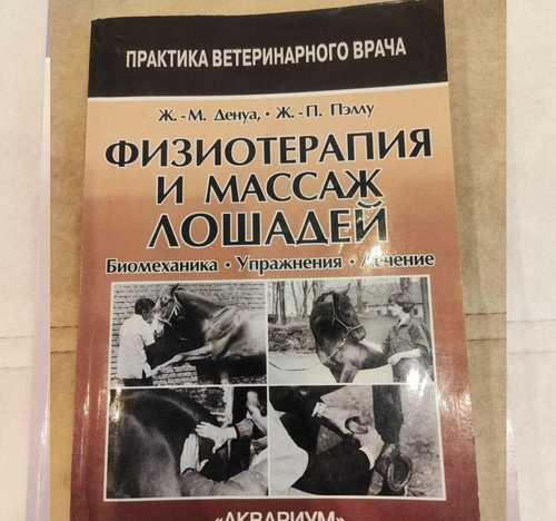 Физиотерапия и массаж лошадей