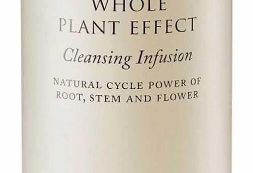 Yunjac whole plant effect cleansing infusion