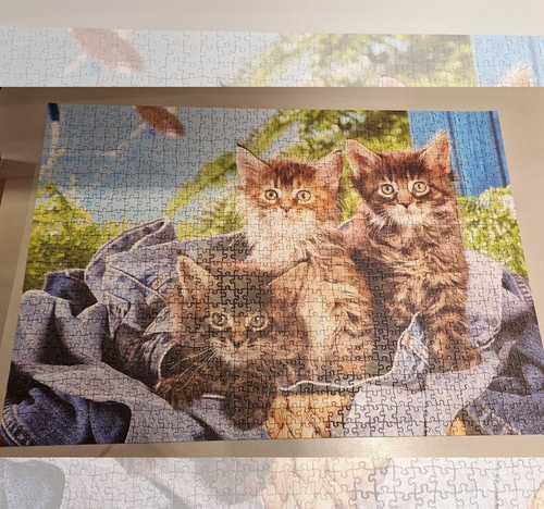 Пазл на 1000 котики