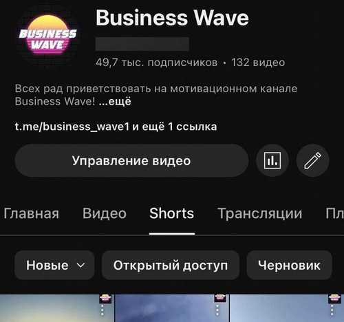 Мотивационный проект Business Wave (3 канала)