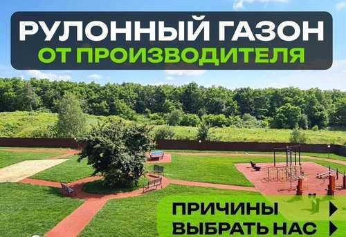 Рулонный газон Универсальный. От производителя